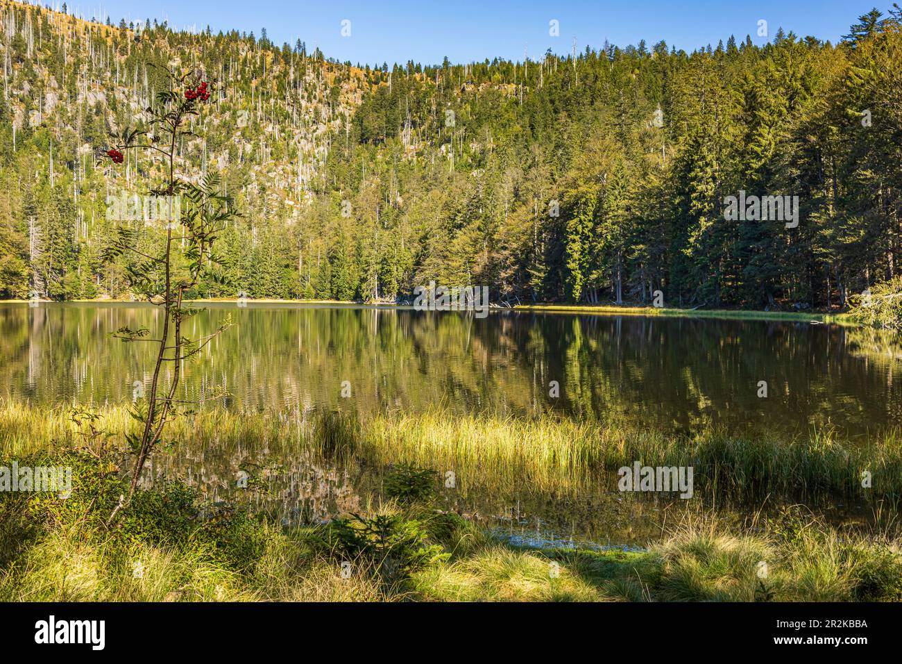 At the rachelsee -Fotos und -Bildmaterial in hoher Auflösung – Alamy