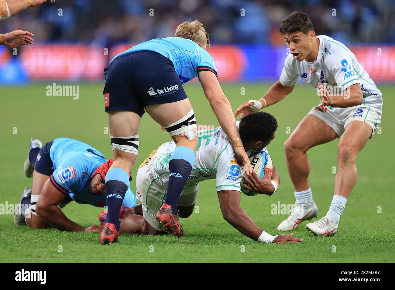 20. Mai 2023; Allianz Stadium, Sydney, NSW, Australien: Super Rugby ...