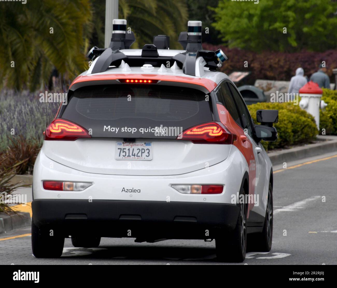 San Francisco, Kalifornien, USA. 14. Mai 2023. Azalea“, ein ...