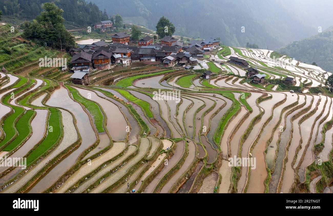 CONGJIANG, CHINA - 21. MAI 2023 - Foto aufgenommen am 21. Mai 2023 ...