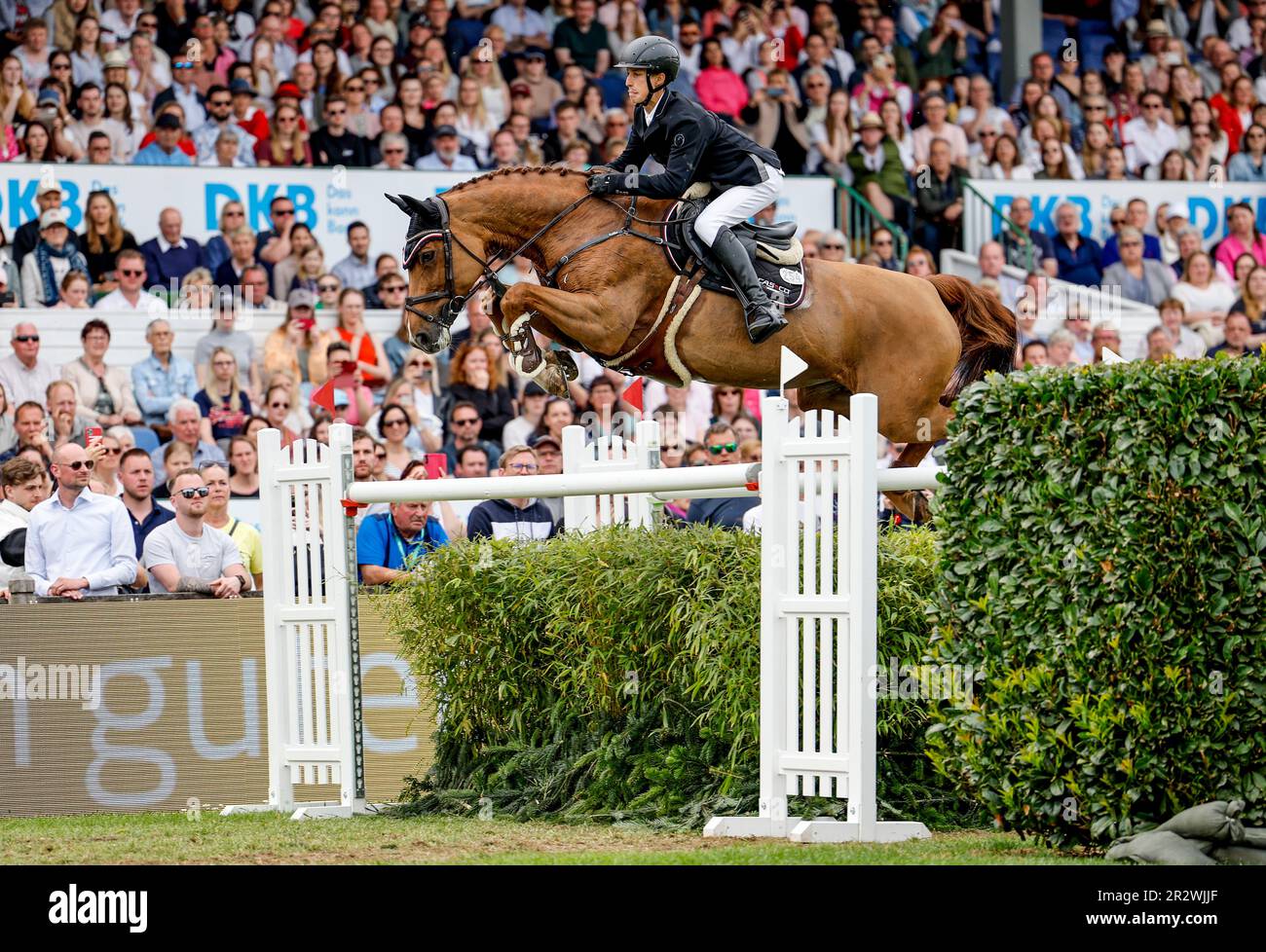 Hamburg, Deutschland. 21. Mai 2023. Reitsport: Deutsche Show Jumping ...