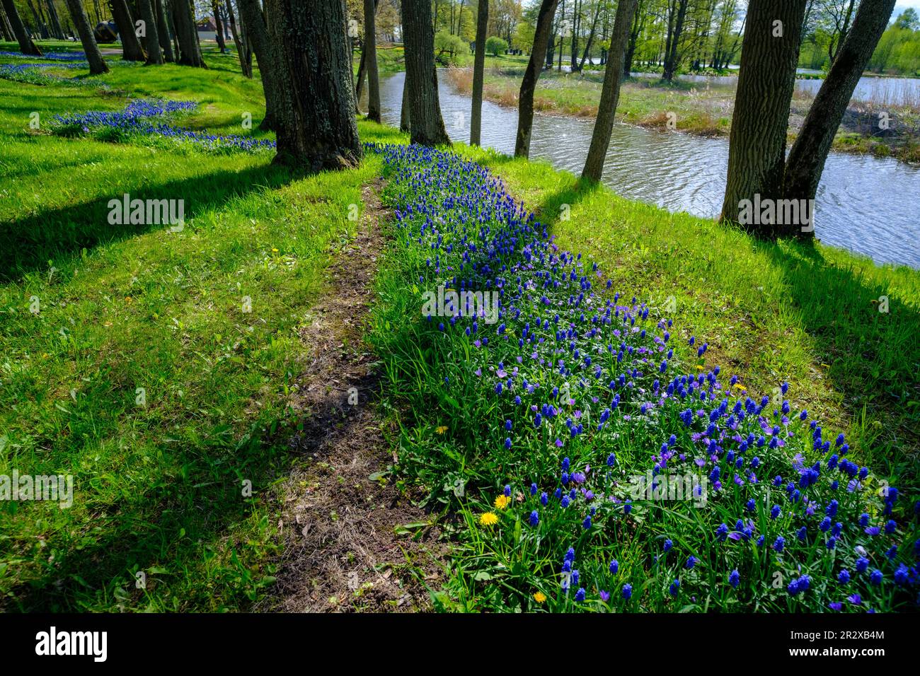 Pakruojis, Litauen - 5. Mai 2023: Pakruojis Manor and Instalation ...