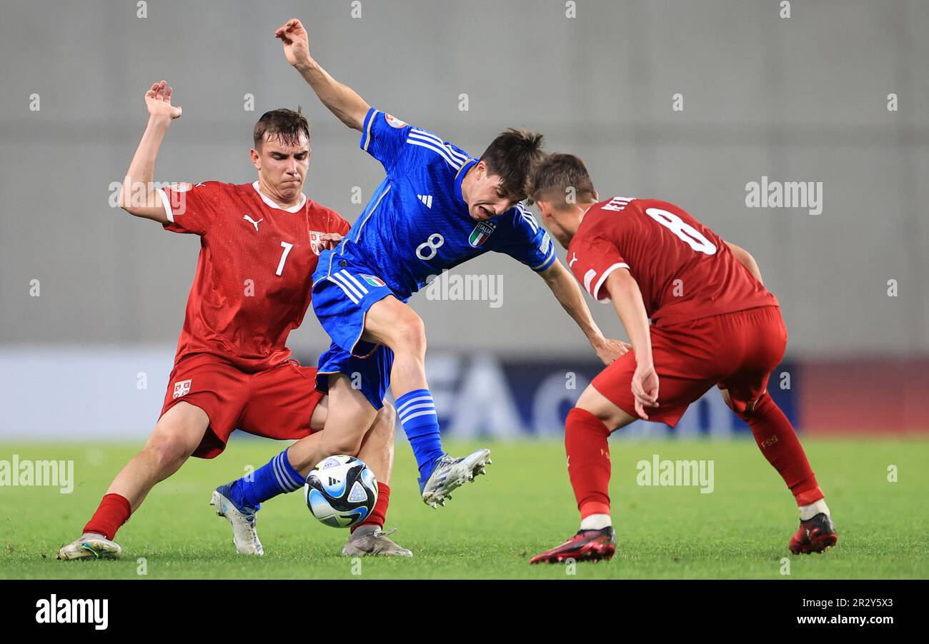 Mihajlo cvetkovic -Fotos und -Bildmaterial in hoher Auflösung – Alamy Mihajlo cvetkovic -Fotos und -Bildmaterial in hoher Auflösung – Alamy
