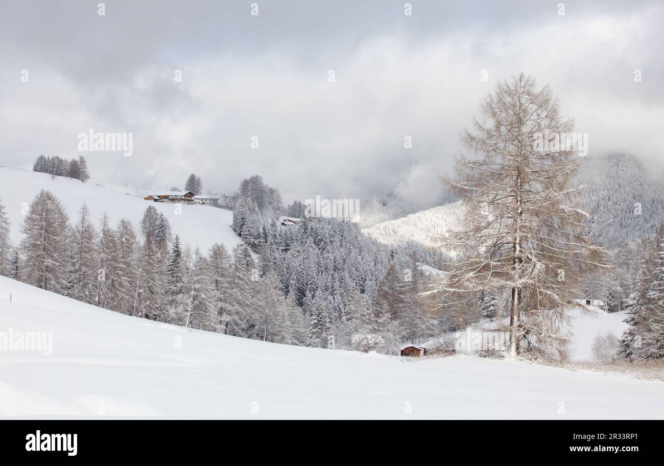 Valsertal tirol -Fotos und -Bildmaterial in hoher Auflösung – Alamy