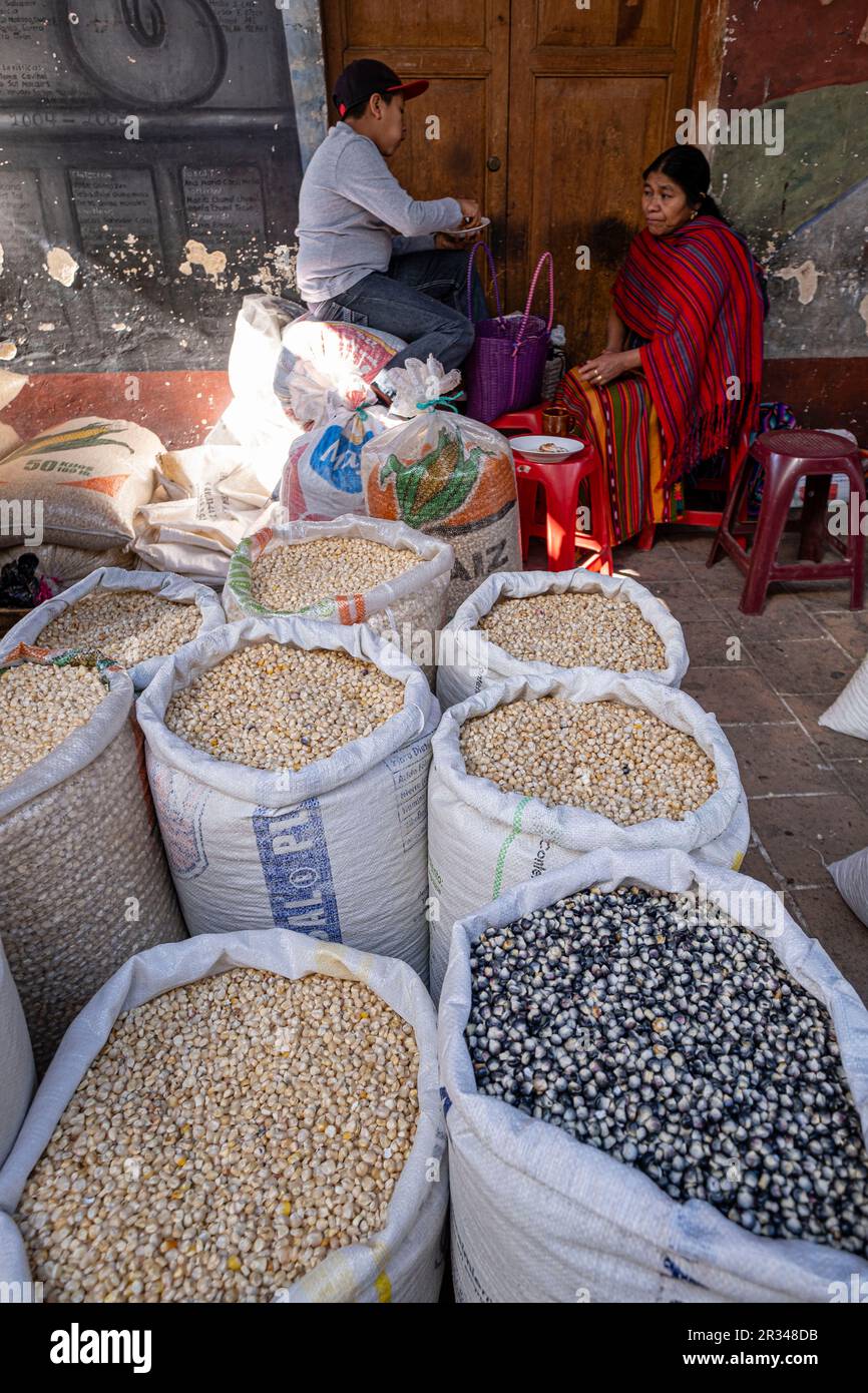 Maiz de guatemala -Fotos und -Bildmaterial in hoher Auflösung – Alamy