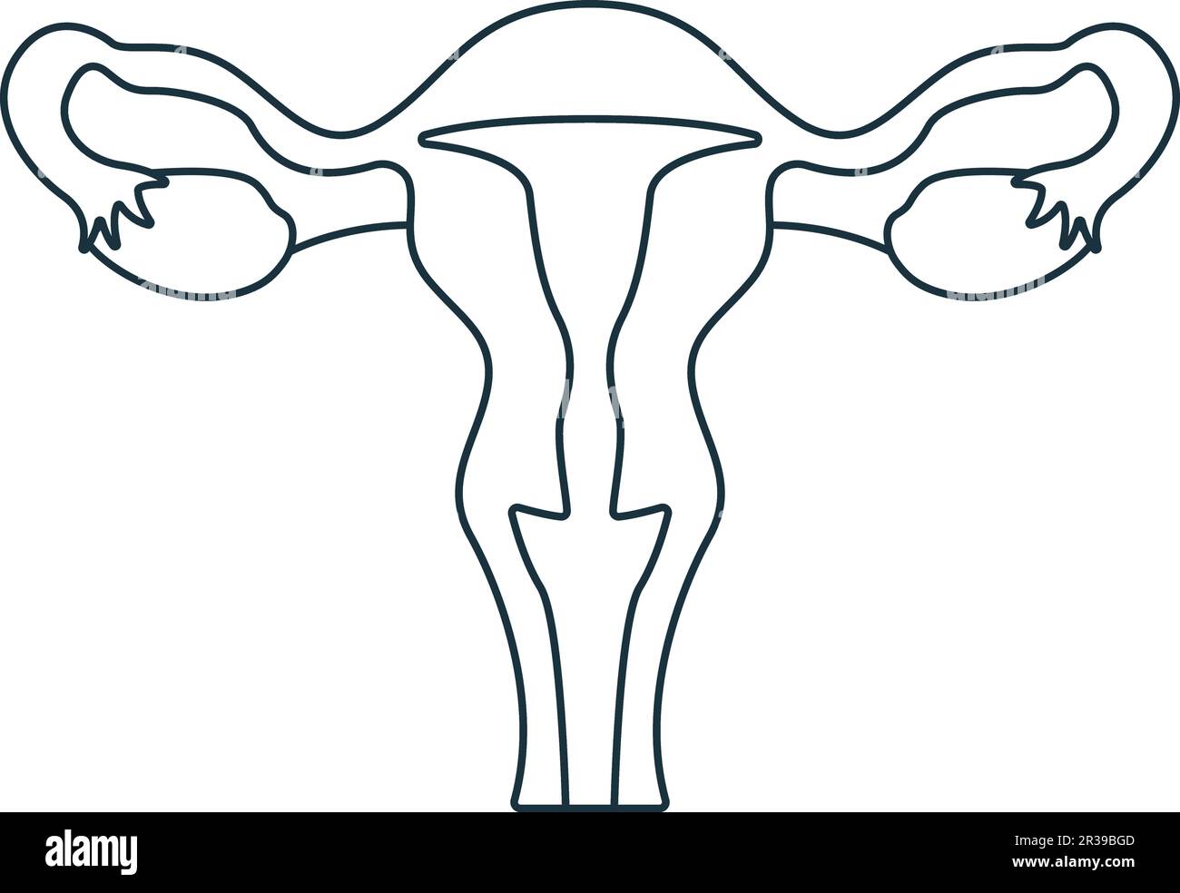 Uterussymbol. Monochromes einfaches Zeichen aus der Anatomie-Sammlung ...