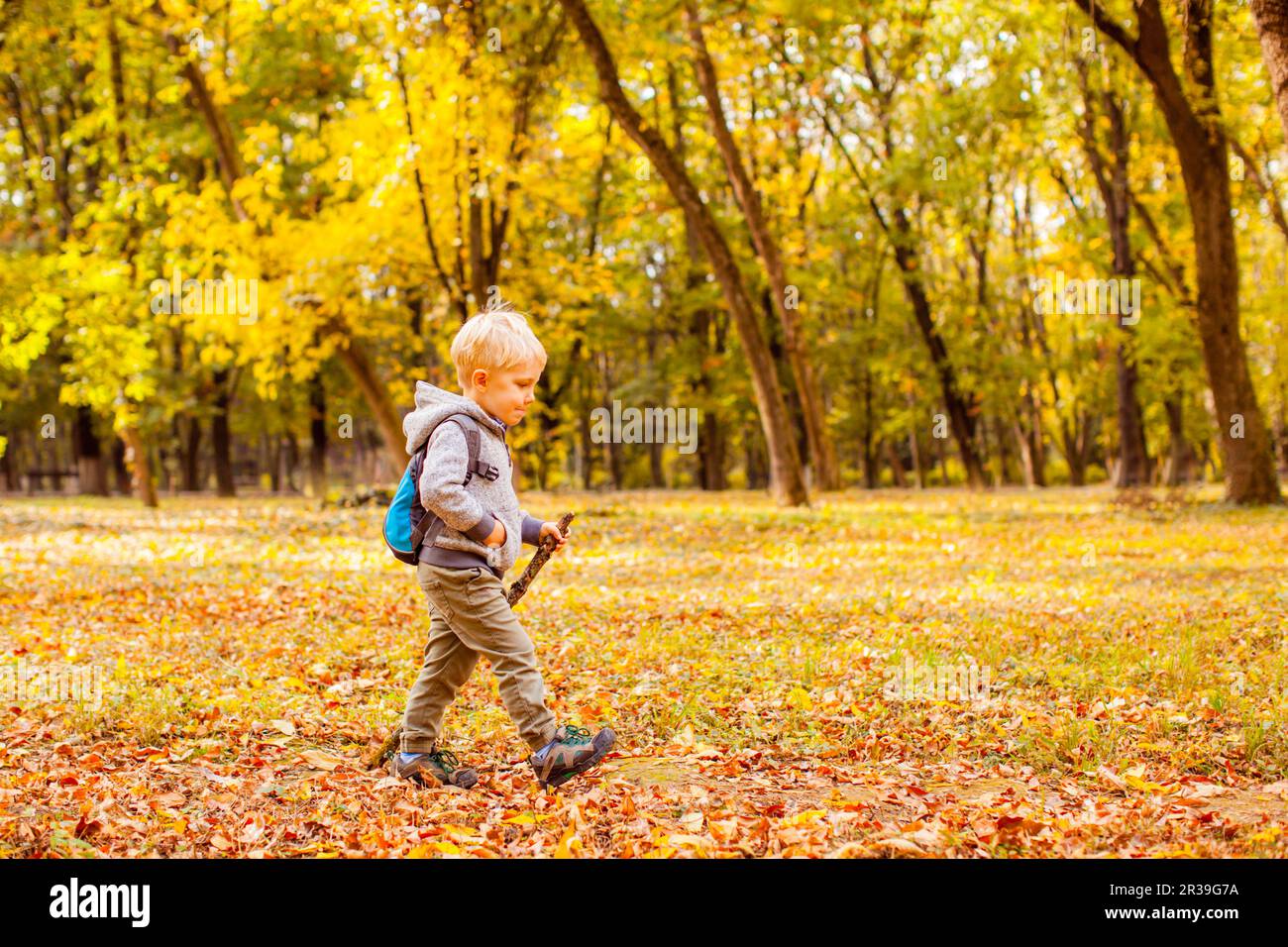 Little stick -Fotos und -Bildmaterial in hoher Auflösung – Alamy