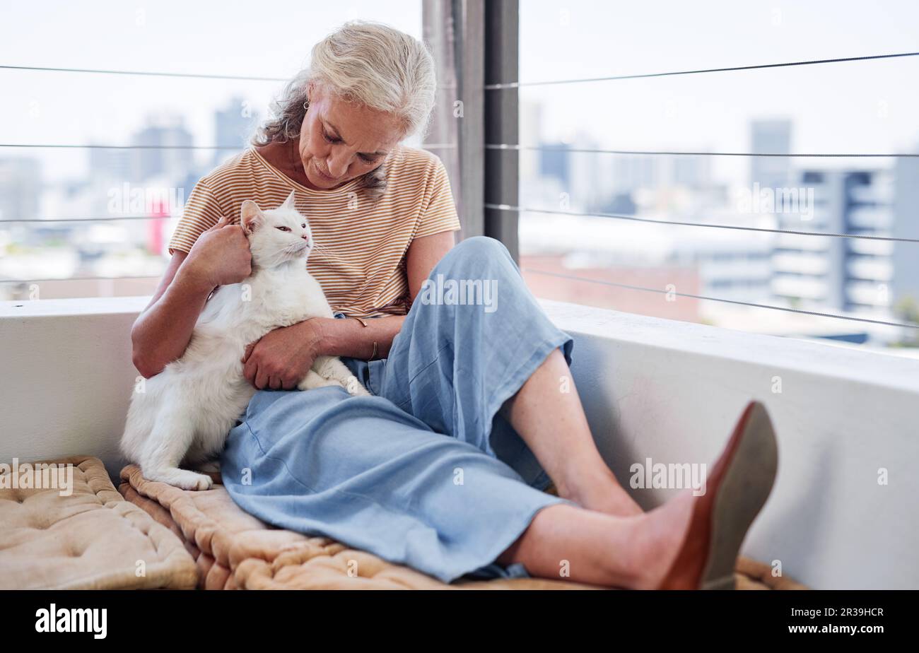 Seniorin entspannen sich mit ihrer Katze auf der Hausetage für ...