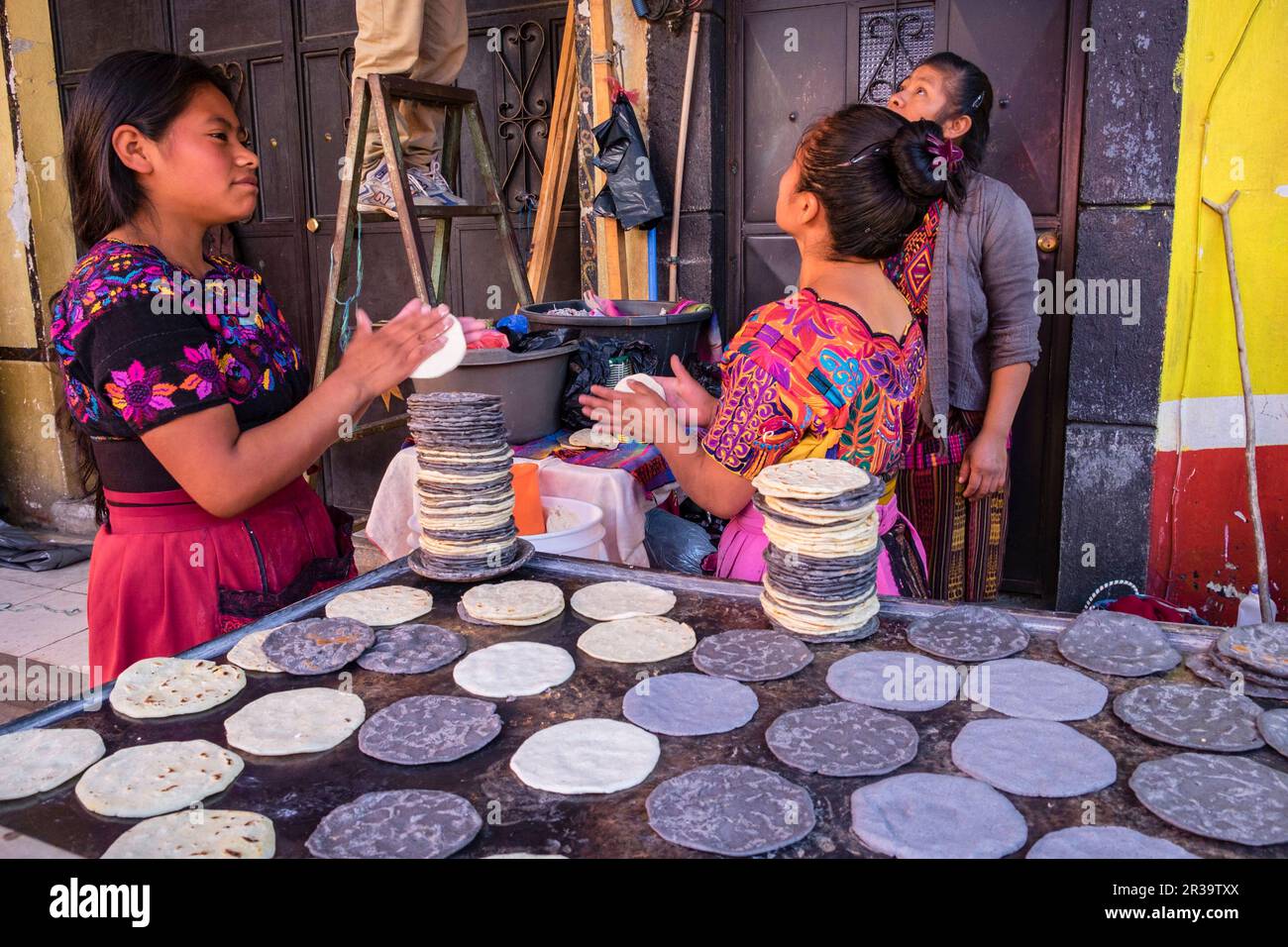 Maiz de guatemala -Fotos und -Bildmaterial in hoher Auflösung – Alamy