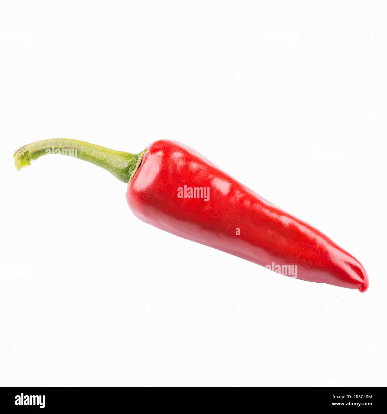 Umriss der roten chilischote -Fotos und -Bildmaterial in hoher ...