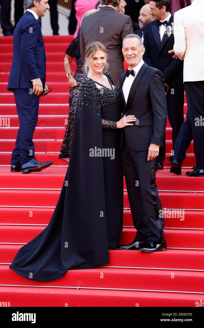 Ehefrau Tom Hanks