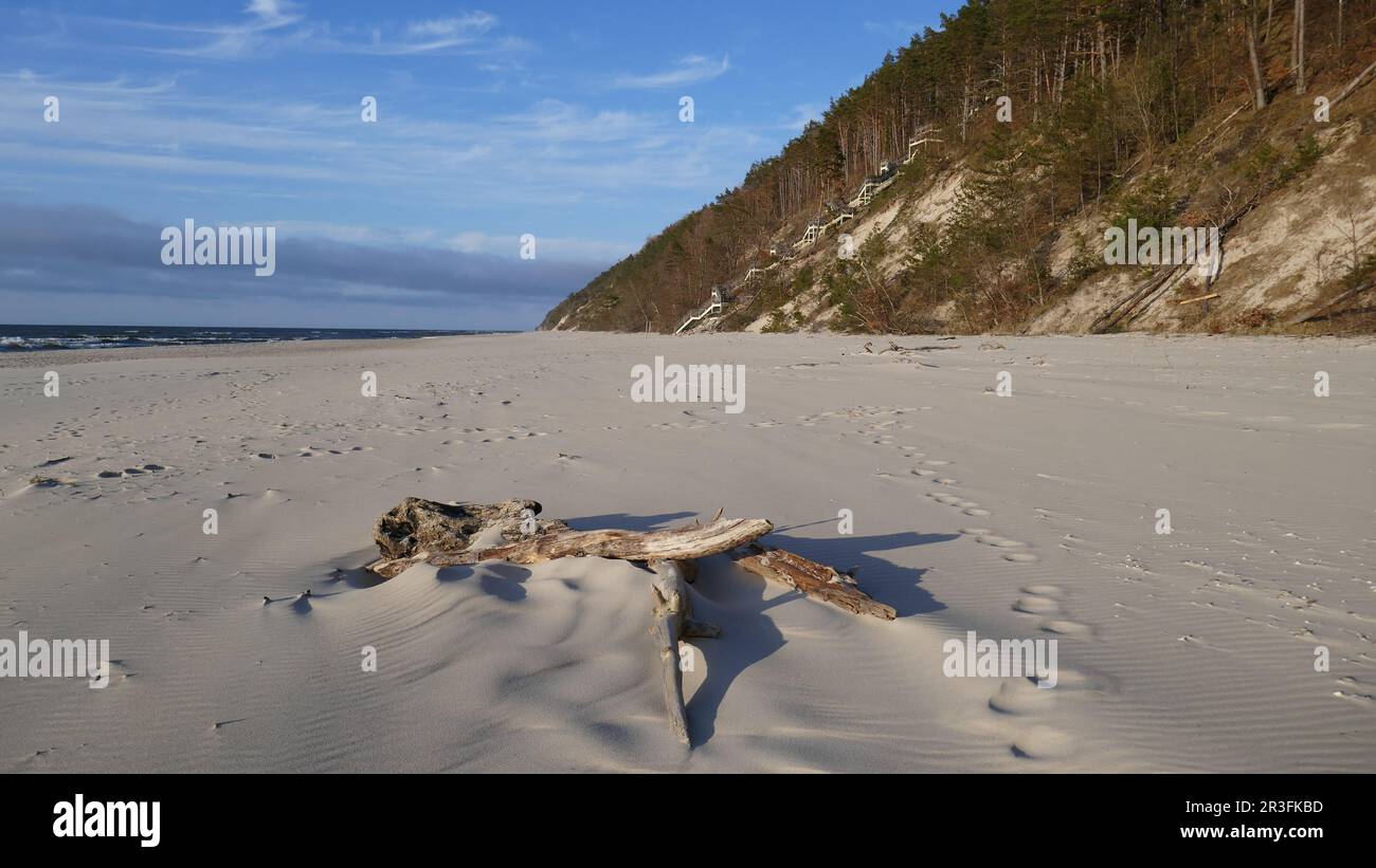 Wolin national park -Fotos und -Bildmaterial in hoher Auflösung – Alamy