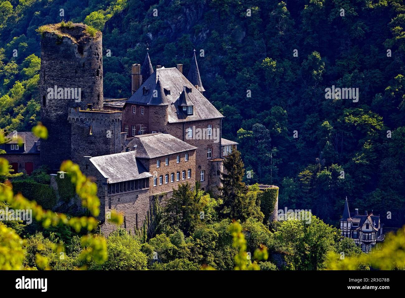 Ausblick auf das Rheintal mit Burg Katz, Patersberg, UNESCO-Welterbe ...