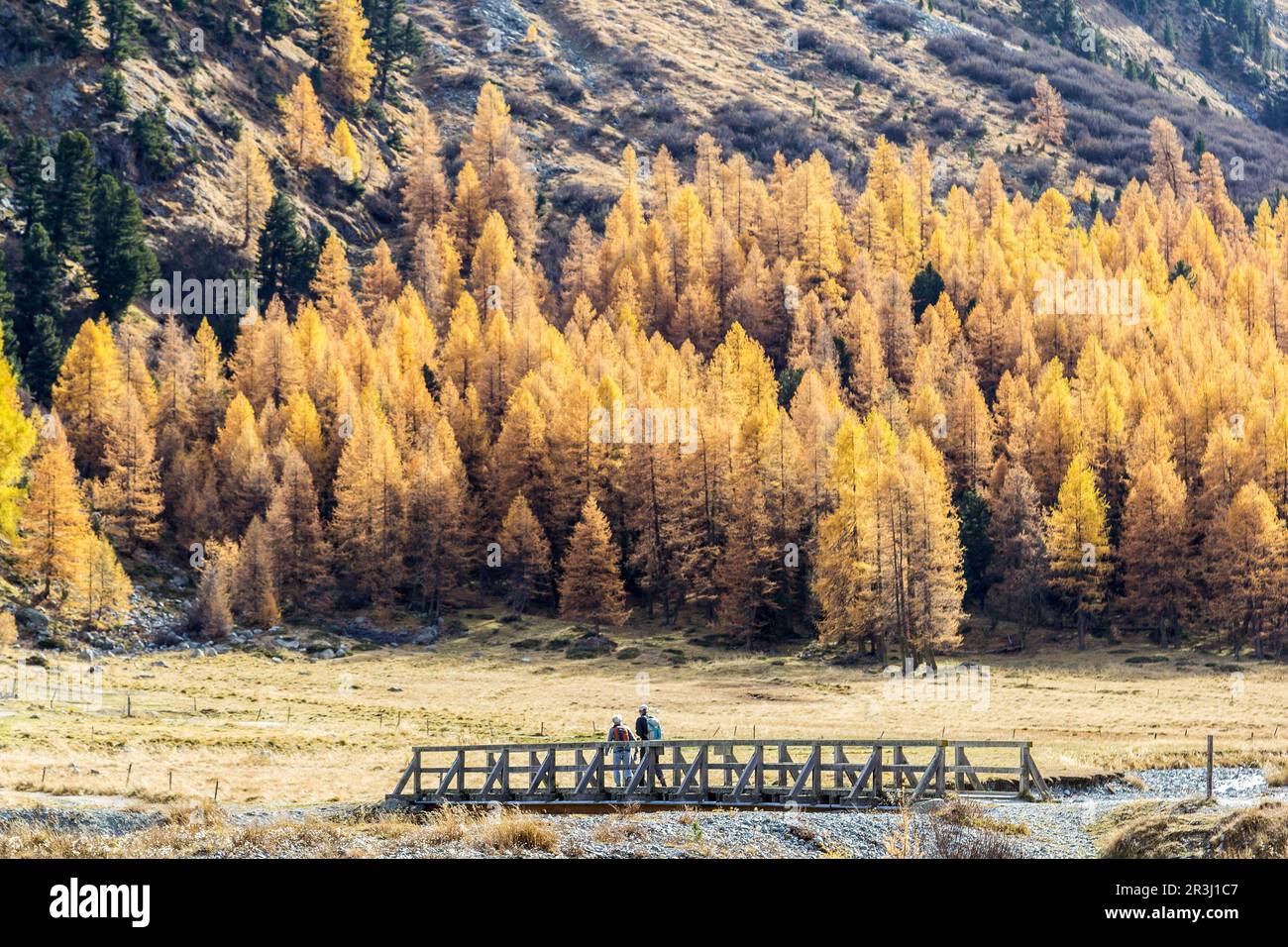 Roseg Valley, Schweiz - 29. Oktober. 2021 Uhr: Wanderer, die in der ...