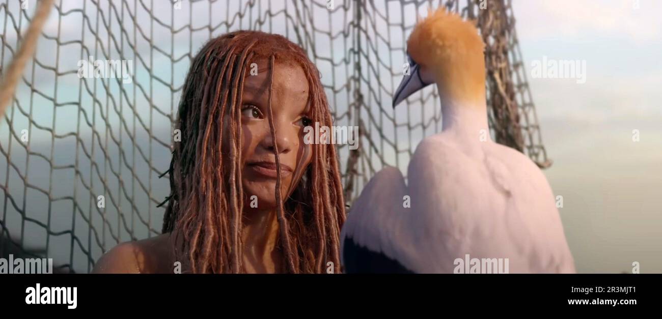 DIE KLEINE MEERJUNGFRAU, von links: Halle Bailey als Ariel, Scroll ... DIE KLEINE MEERJUNGFRAU, von links: Halle Bailey als Ariel, Scroll ...