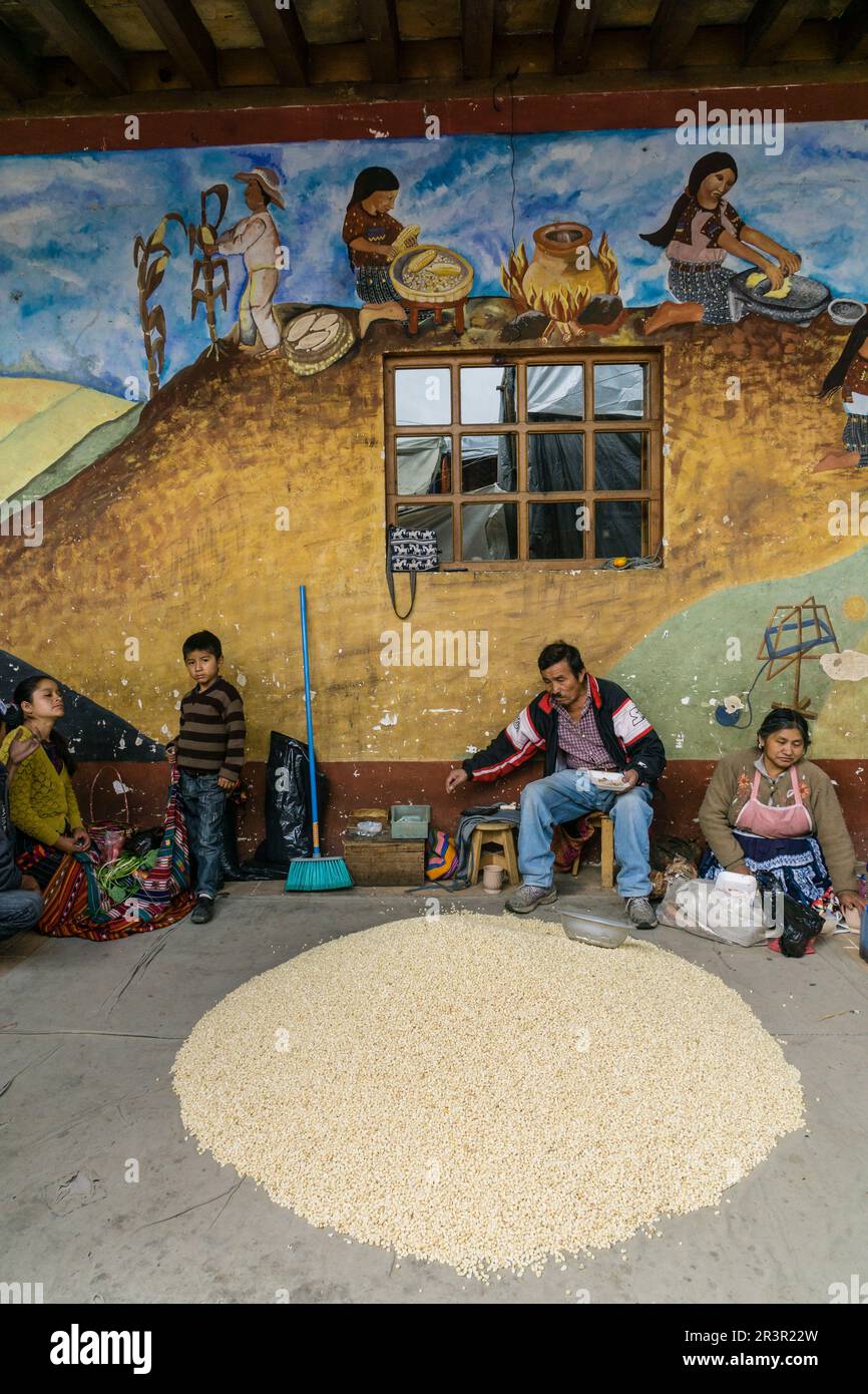 Maiz de guatemala -Fotos und -Bildmaterial in hoher Auflösung – Alamy