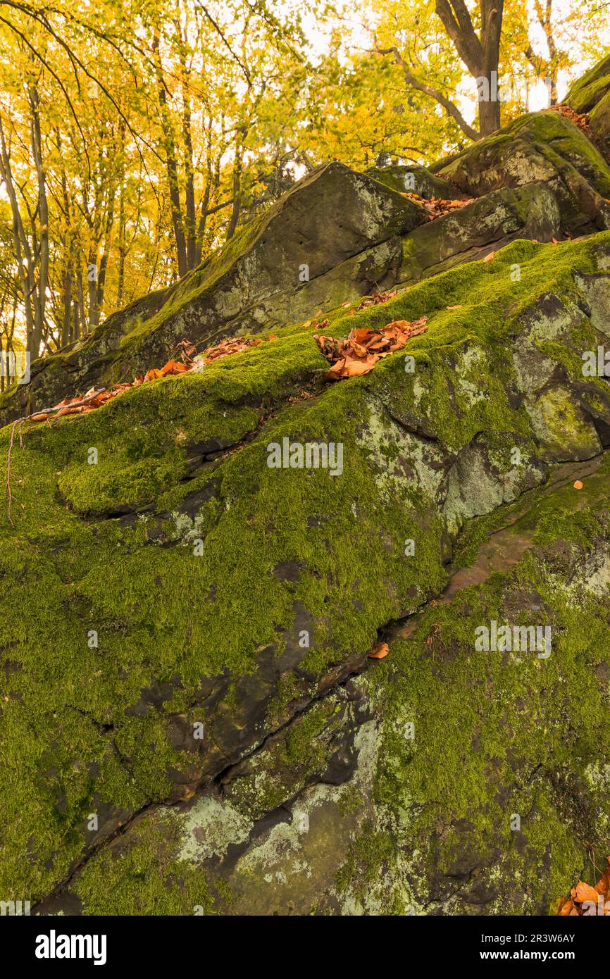 Region tecklenburg -Fotos und -Bildmaterial in hoher Auflösung – Alamy