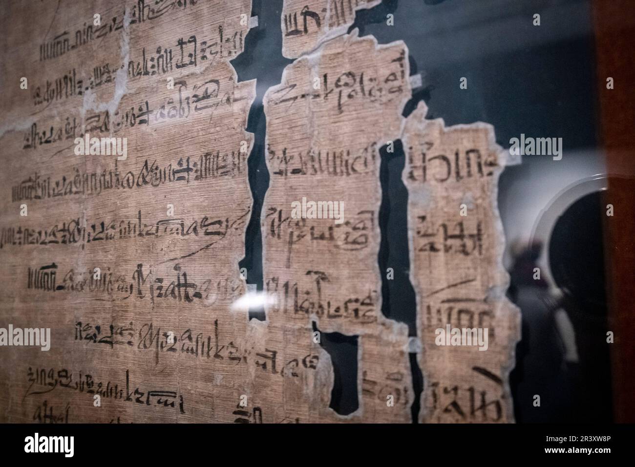 Moderner papyrus -Fotos und -Bildmaterial in hoher Auflösung – Alamy