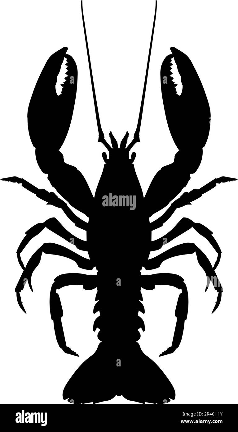 Hummer silhouette -Fotos und -Bildmaterial in hoher Auflösung – Alamy