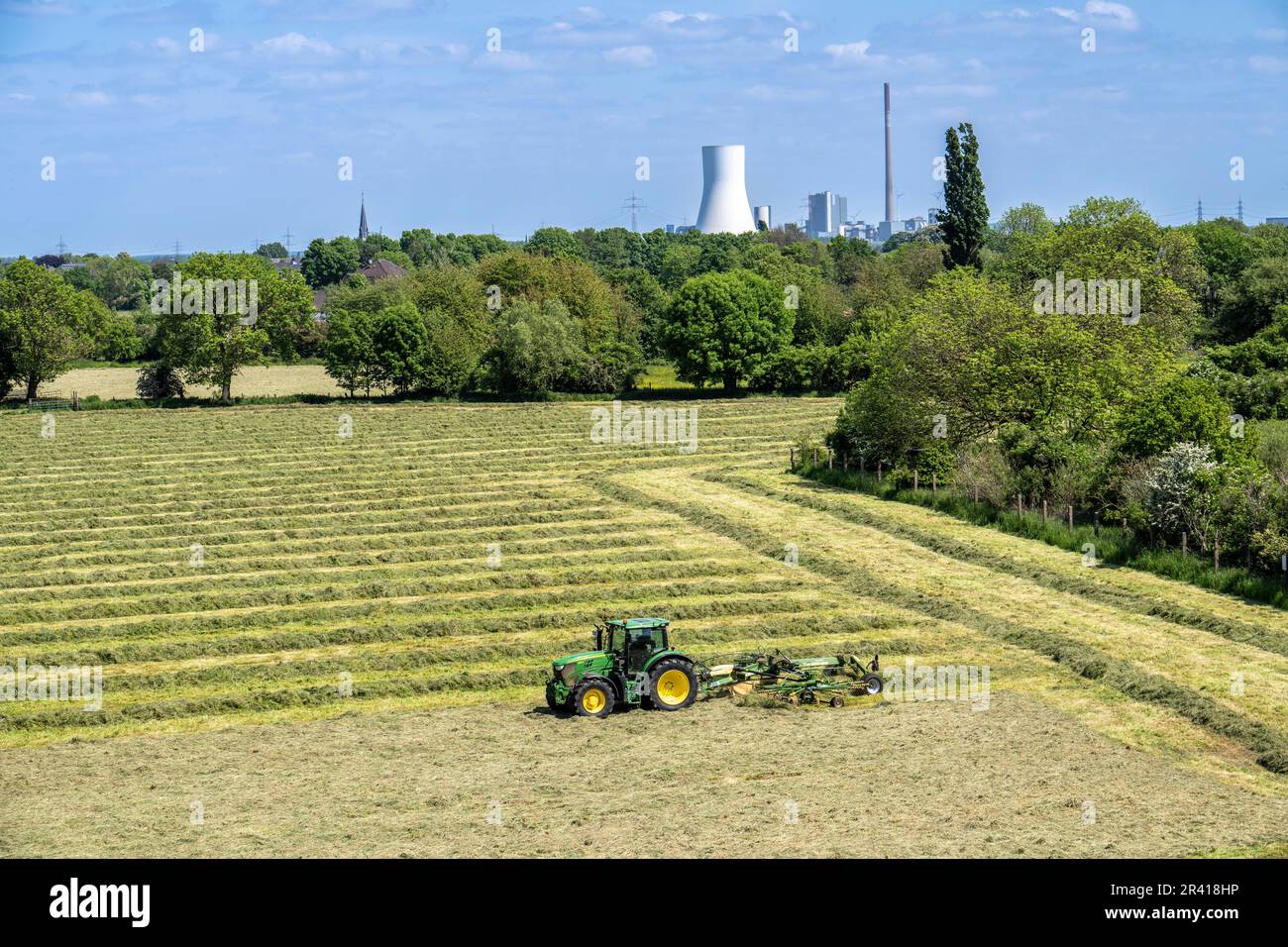 Heuernte, auf einer Wiese in der Nähe von Duisburg-Baerl, Traktor mit ...