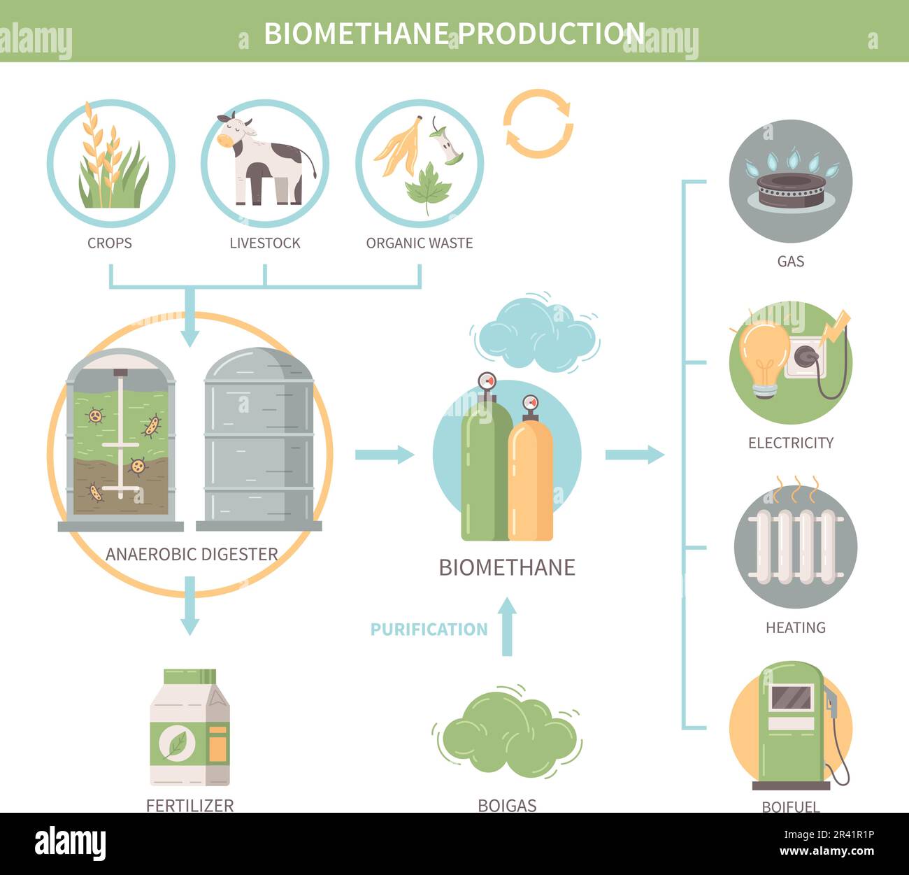Infografiken zur Biomethan-Produktion, in denen landwirtschaftliche Nutzpflanzen und Nutztiere ...