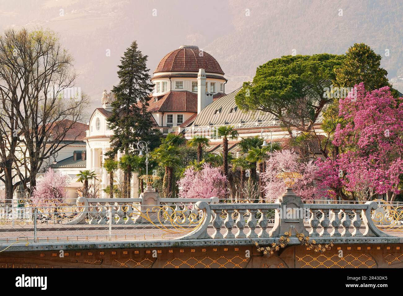 Blumengarten meran -Fotos und -Bildmaterial in hoher Auflösung – Alamy
