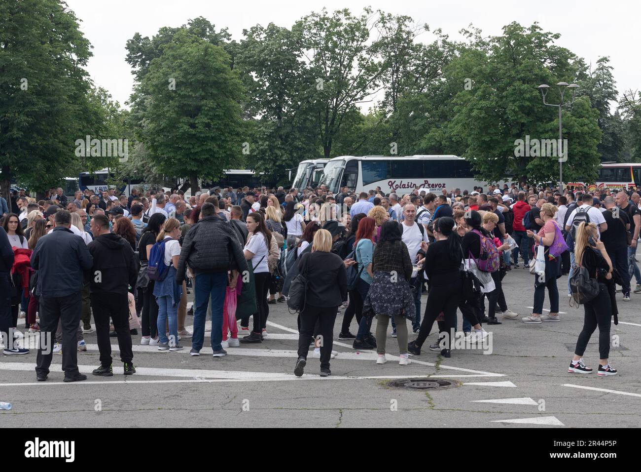 Supporters of Serbian president Aleksandar Vucic are seen as they ...