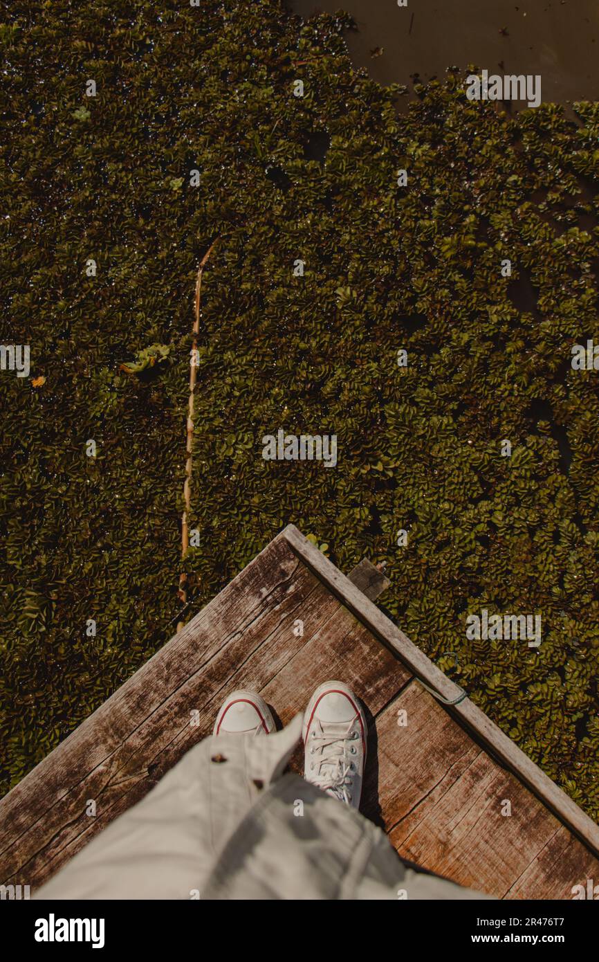 Schwimmende holzplattform -Fotos und -Bildmaterial in hoher Auflösung ...