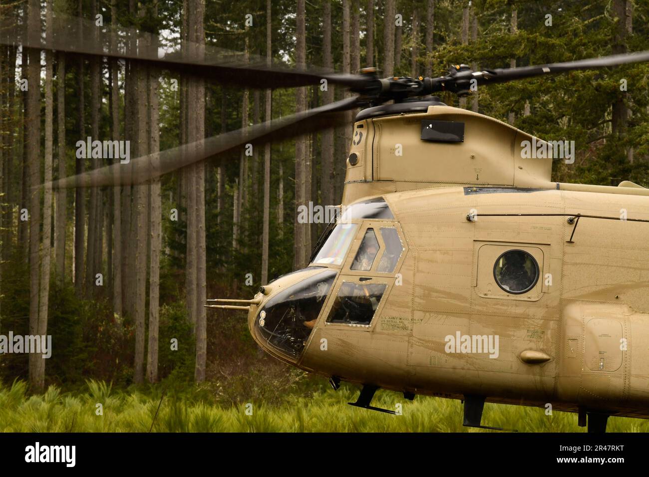 Soldaten der Washington National Guard mit 1. Bataillon, 168. General ...