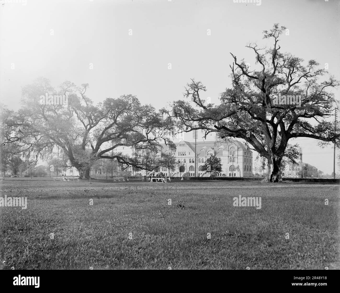 New orleans 1900 -Fotos und -Bildmaterial in hoher Auflösung - Seite 2 ...