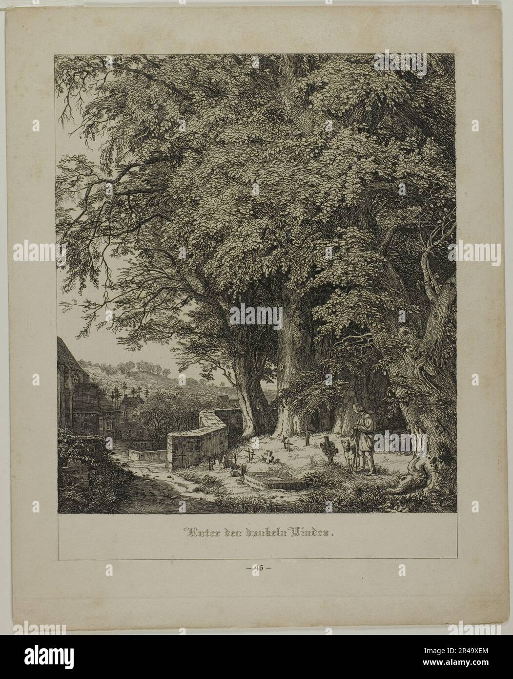 Baum Fur Schattigen Standort
