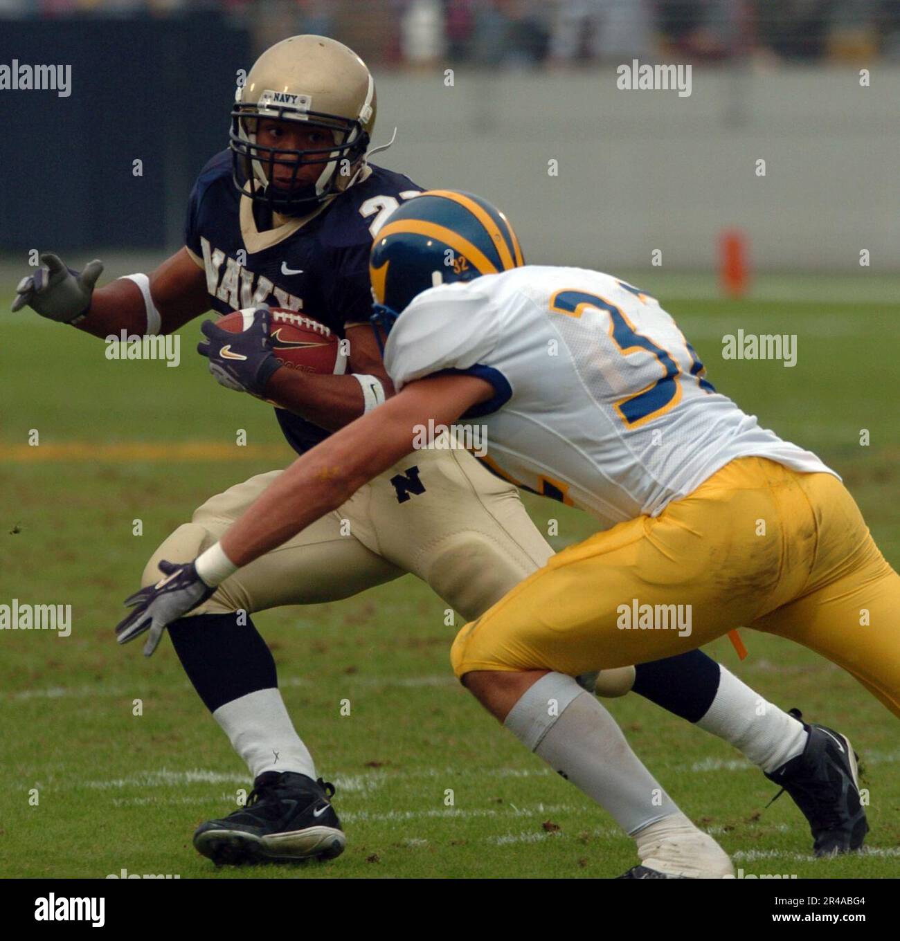 Delaware blaue hühner -Fotos und -Bildmaterial in hoher Auflösung – Alamy