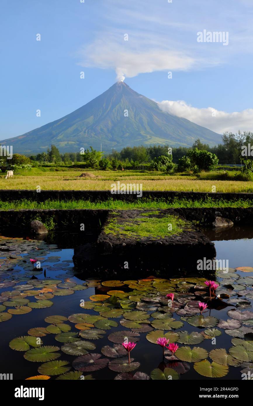 Asche des mayon vulkans -Fotos und -Bildmaterial in hoher Auflösung – Alamy