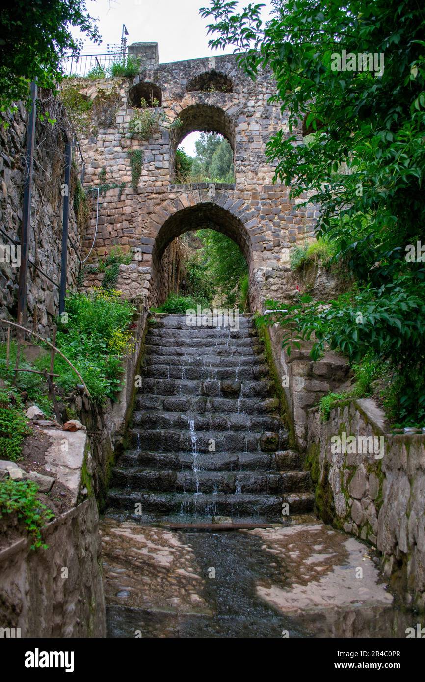 Sapantiana -Fotos und -Bildmaterial in hoher Auflösung – Alamy