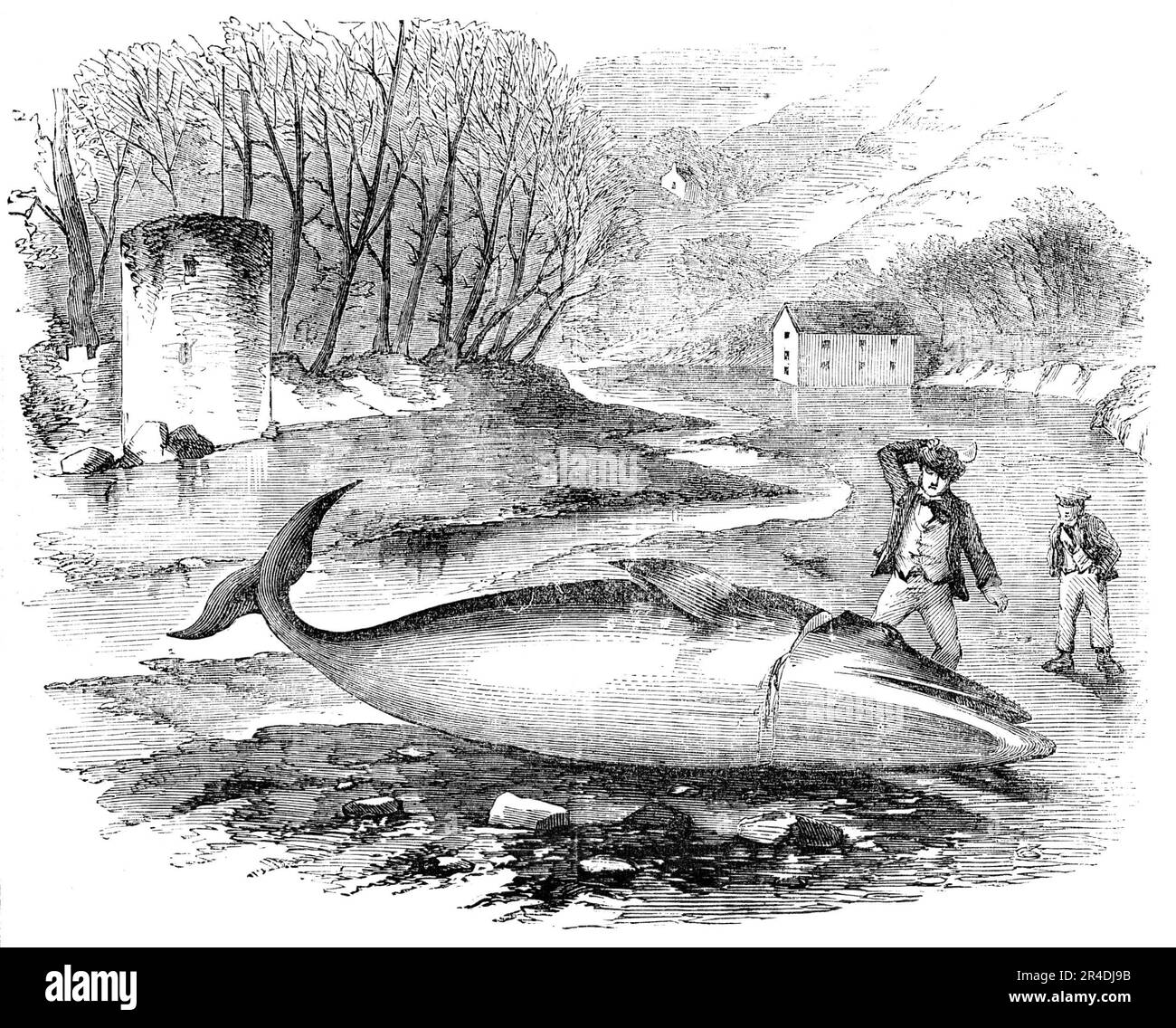 Ganz alleine gelassen Schwarzweiß-Stockfotos und -bilder - Alamy