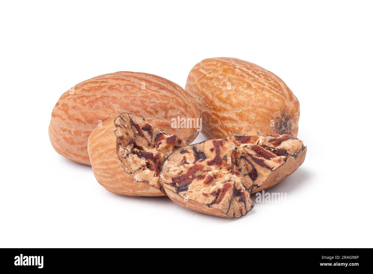 Muskat ansicht -Fotos und -Bildmaterial in hoher Auflösung – Alamy