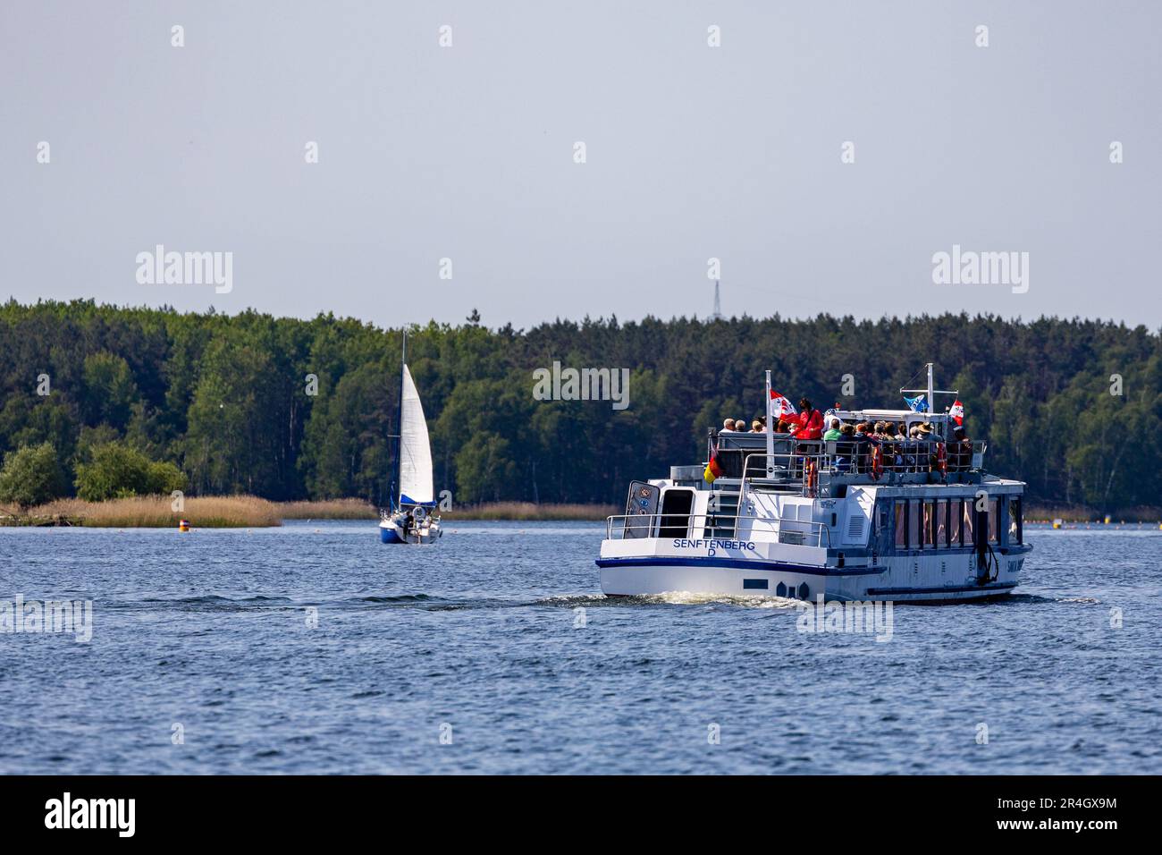 28. Mai 2023, Brandenburg, Senftenberg: Ein Passagierboot und ein ...