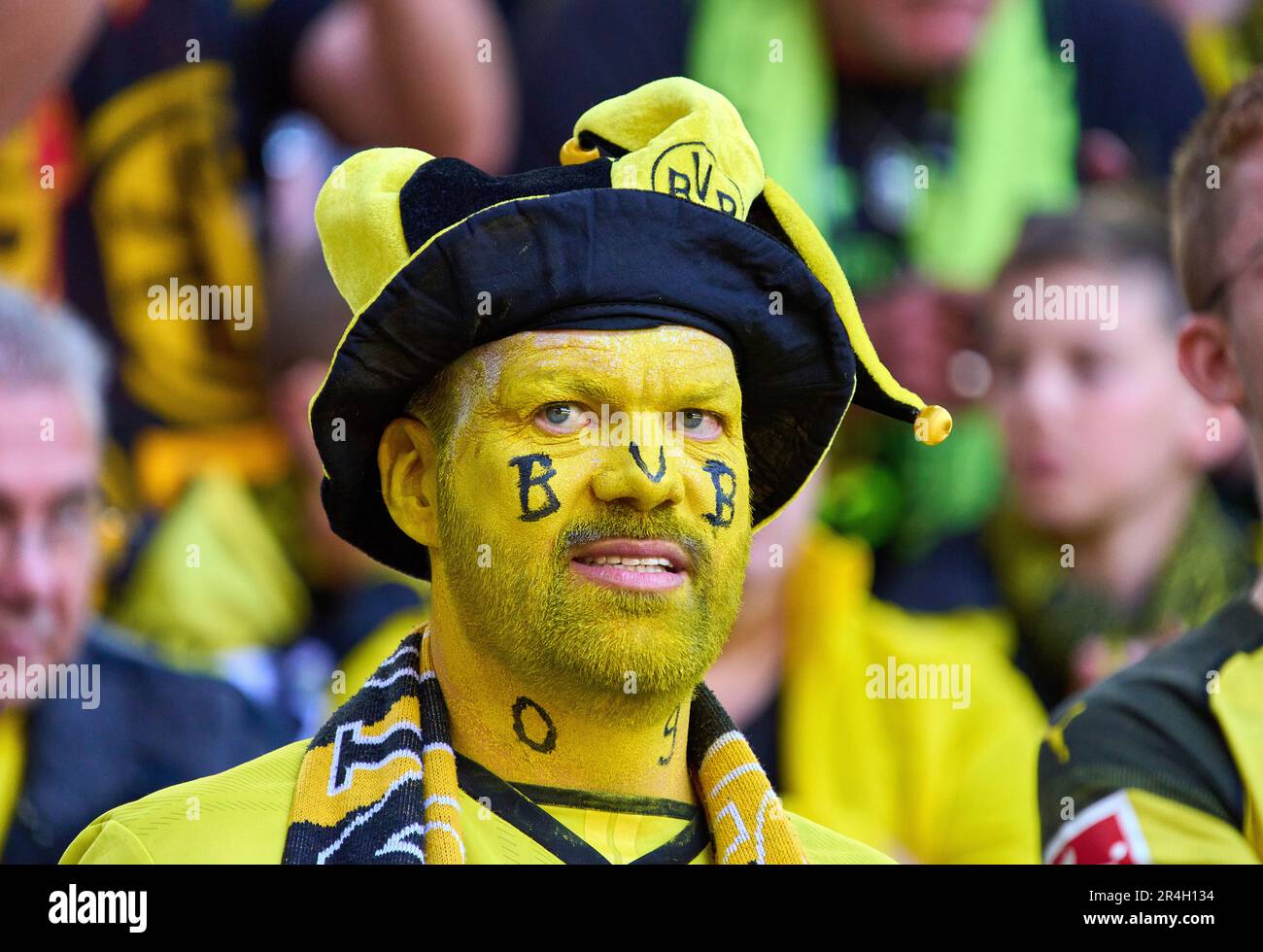 BVB-Fan im Spiel BORUSSIA DORTMUND - FSV MAINZ 05 2-2, BVB hat die ...