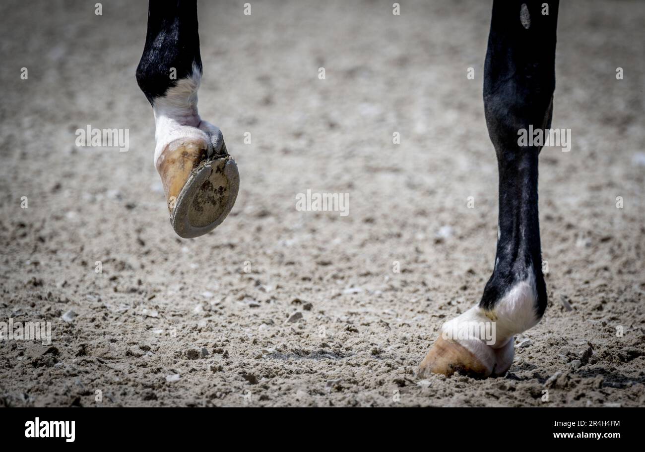 Laurens van lieren -Fotos und -Bildmaterial in hoher Auflösung – Alamy