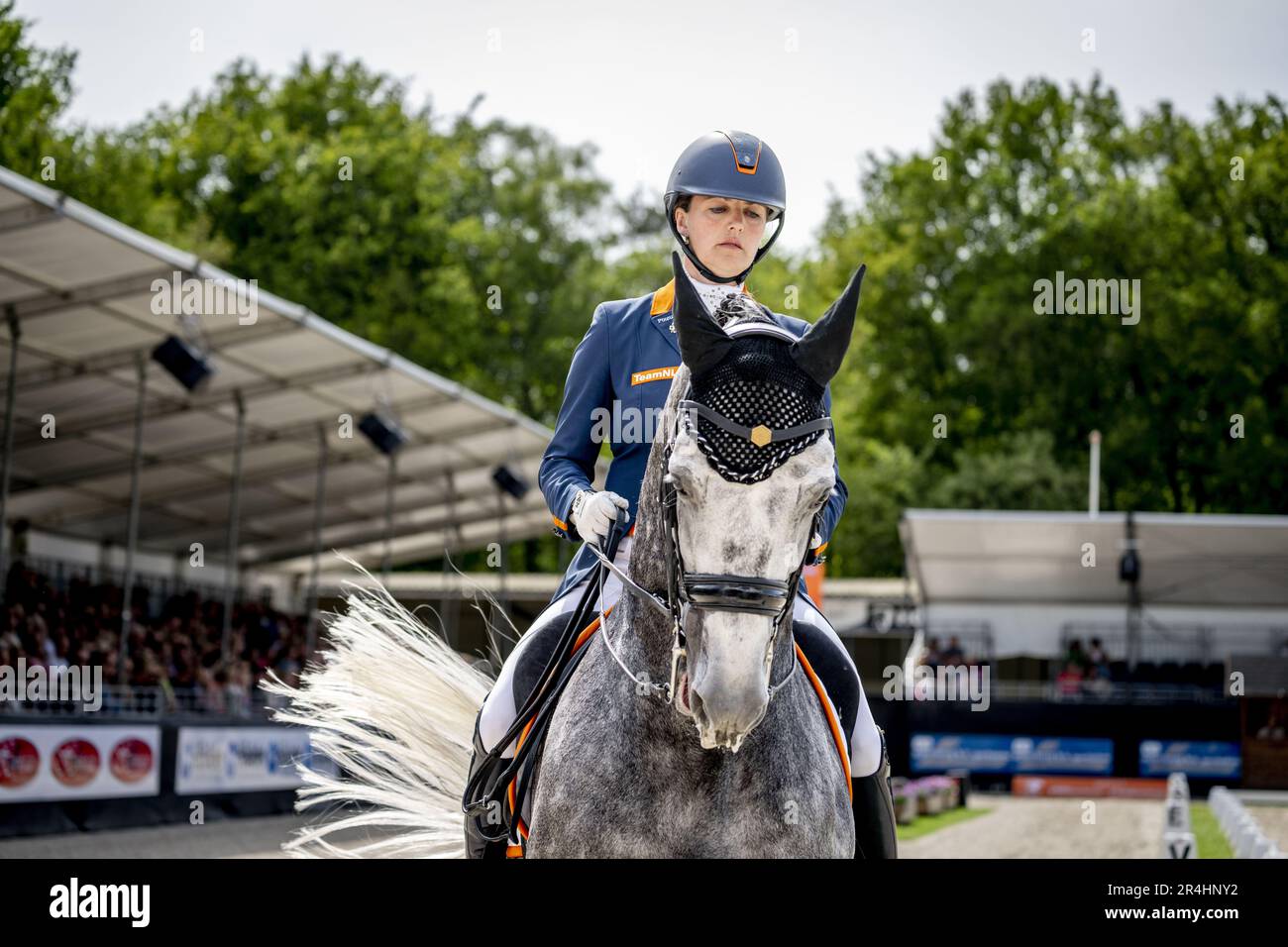 ERMELO - Thamar Zweistra mit Hexagon's ich Weiss in Aktion während des ...