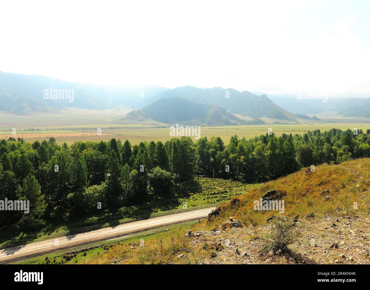Blick von der Spitze auf der anderen Straßenseite und Kiefern zu einem riesigen Tal in den ...