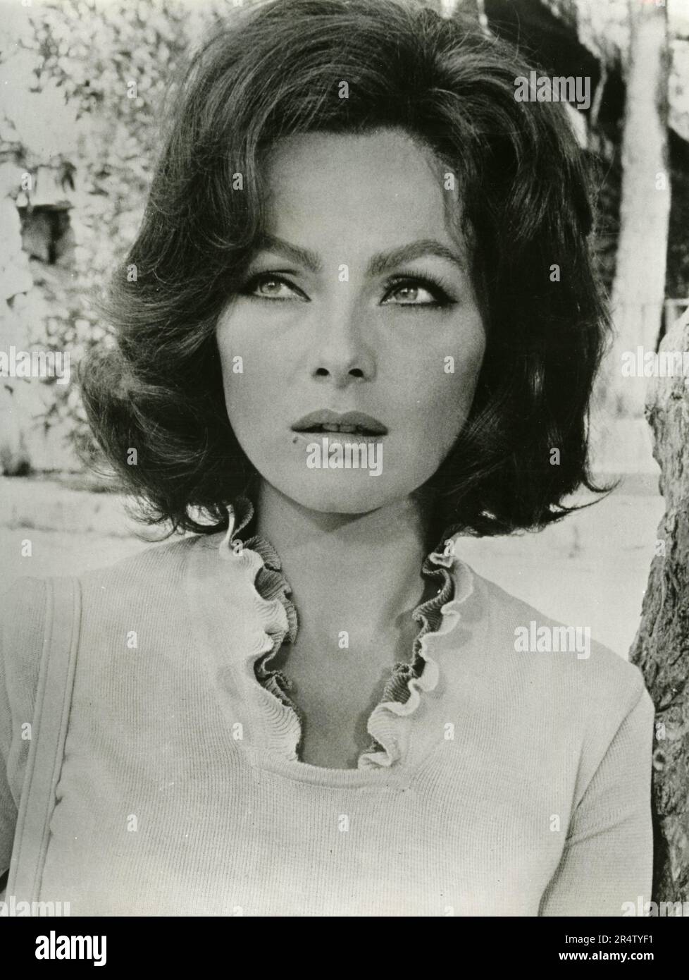 Italian actress virna lisi -Fotos und -Bildmaterial in hoher Auflösung ...