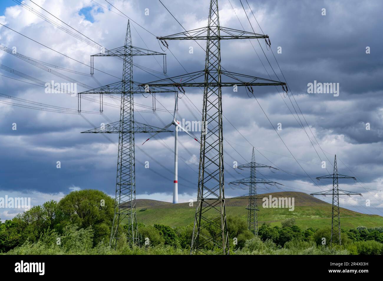Landschaftsschutzgebiet Boyetal-Ost, Hochwasserwiesen, tiefer gelegene ...
