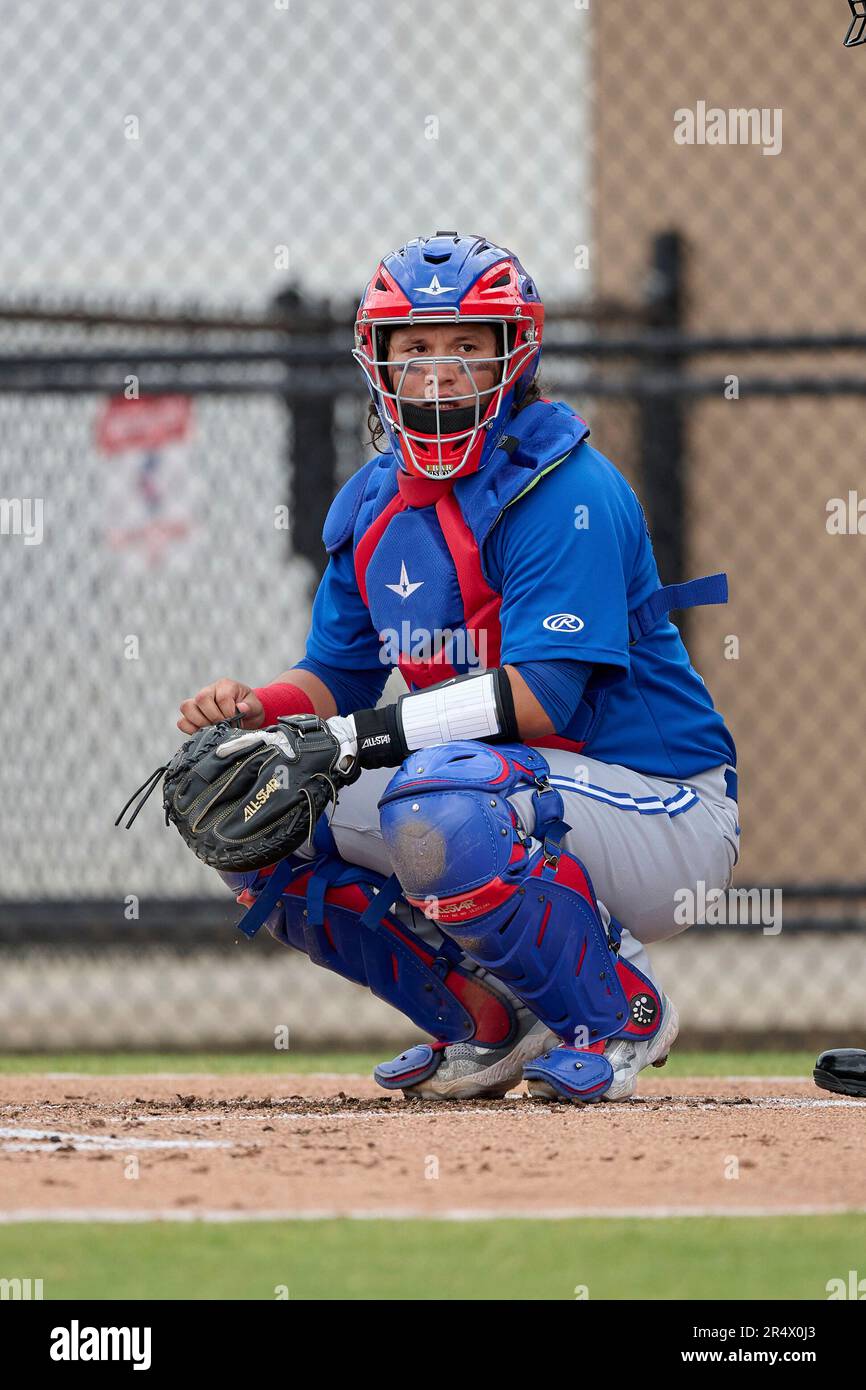 Toronto Blue Jays catcher Luis Meza (79) during an Extended Spring ...