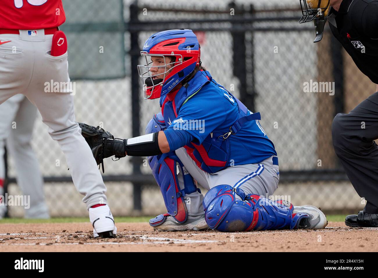 Toronto Blue Jays catcher Luis Meza (79) during an Extended Spring ...