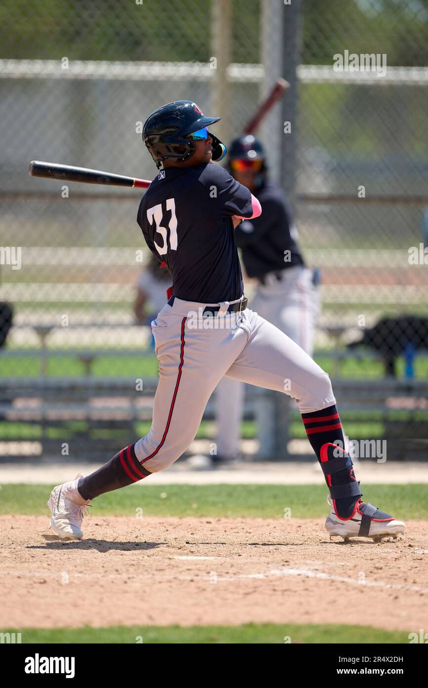 Minnesota Twins Yasser Mercedes (31) at bat during an Extended Spring ...