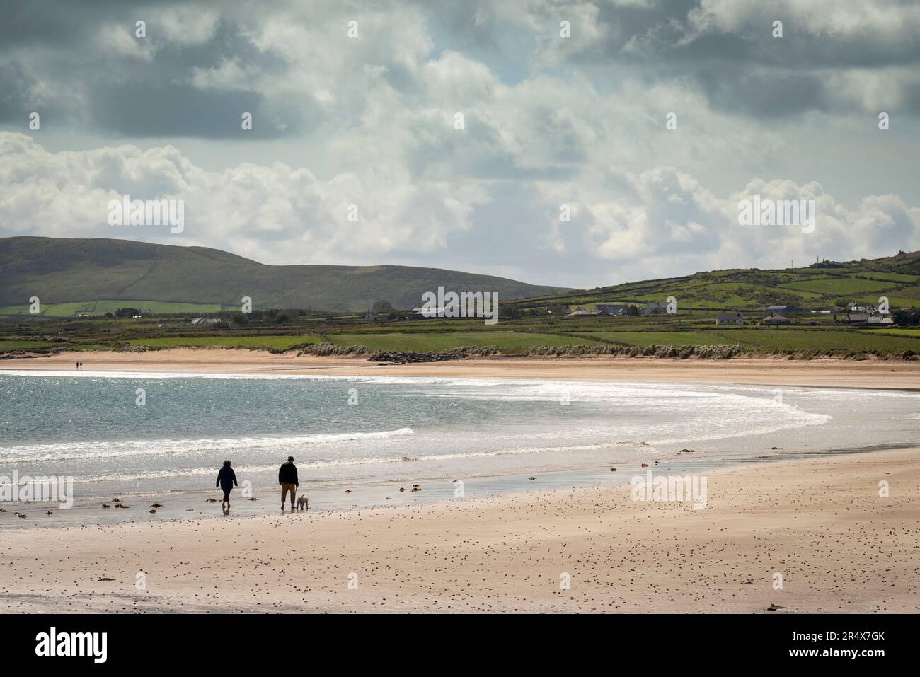 Blick von hinten auf zwei Personen und einen Hund, der am Strand der ...