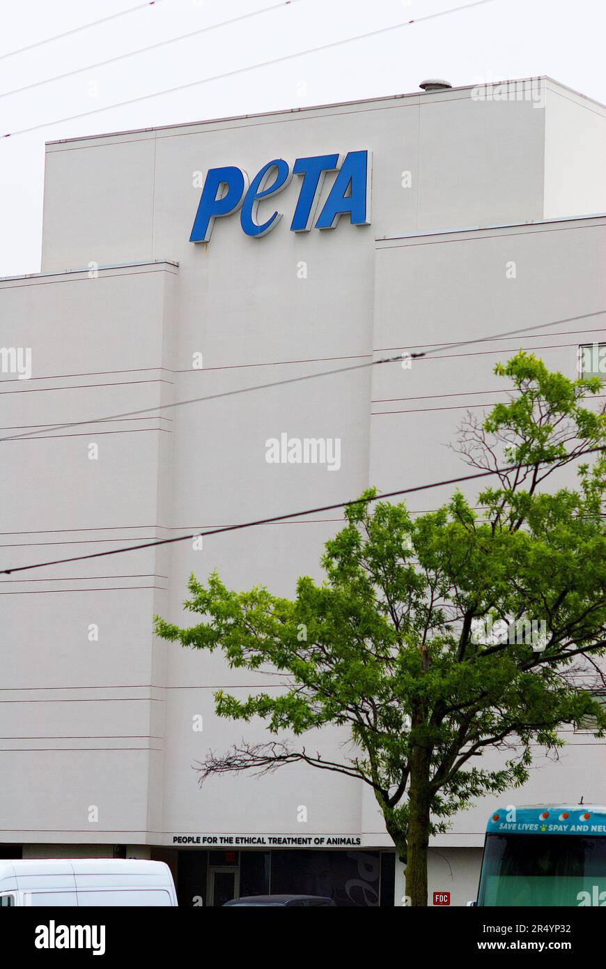 Peta logo -Fotos und -Bildmaterial in hoher Auflösung – Alamy