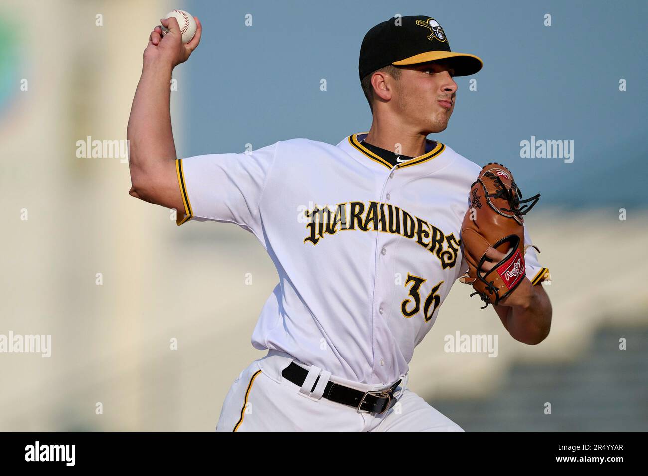 Bradenton Marauders pitcher Thomas Harrington (36) during a MiLB ...