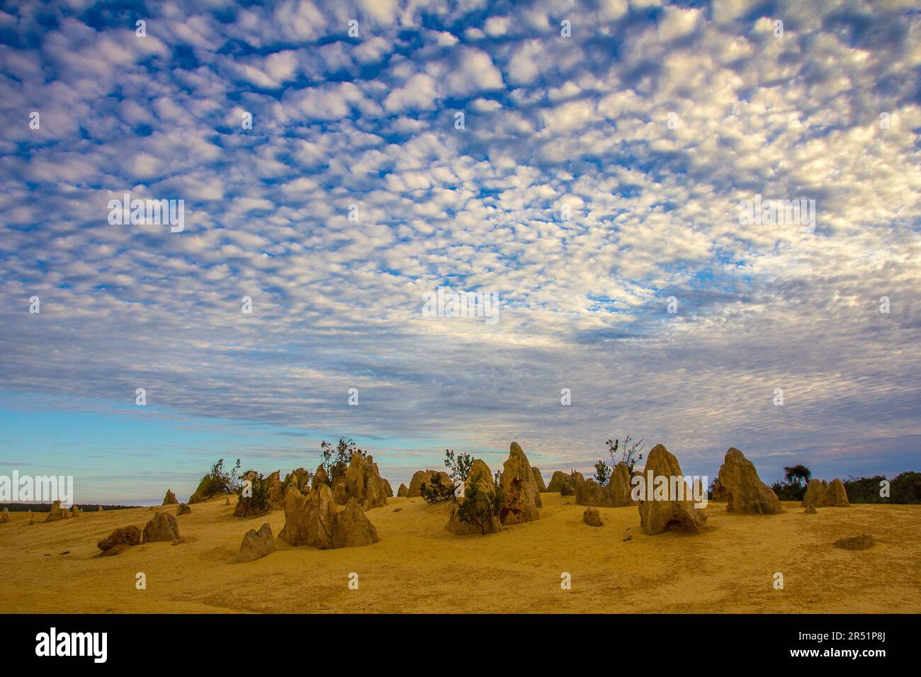 Pinnacles australia -Fotos und -Bildmaterial in hoher Auflösung – Alamy